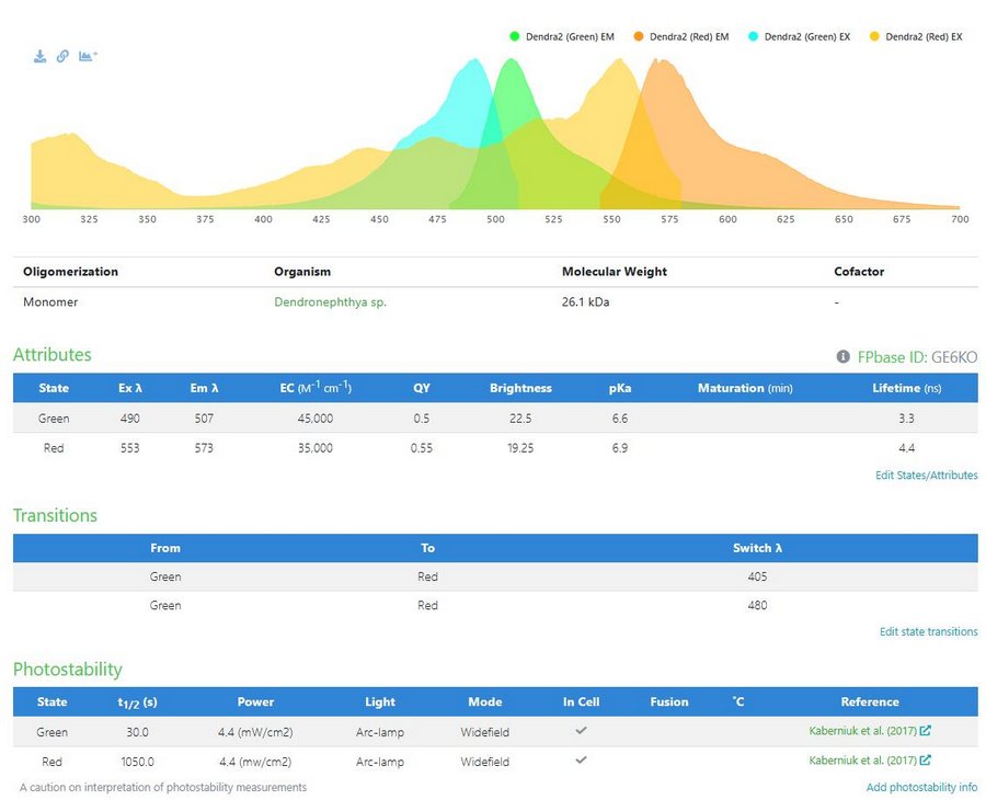 倒置荧光显微镜如何观察光转化荧光蛋白|应用百科